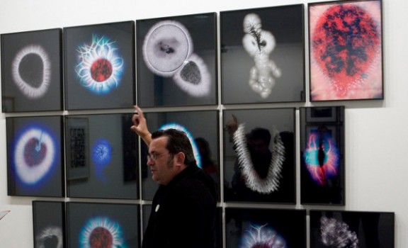 «especular» equivale a «conjeturar» | FundéuRAEFundéuRAE