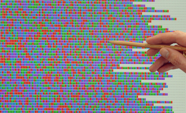 Foto: ©Archivo Efe/Marcus Brandt | FundéuRAE