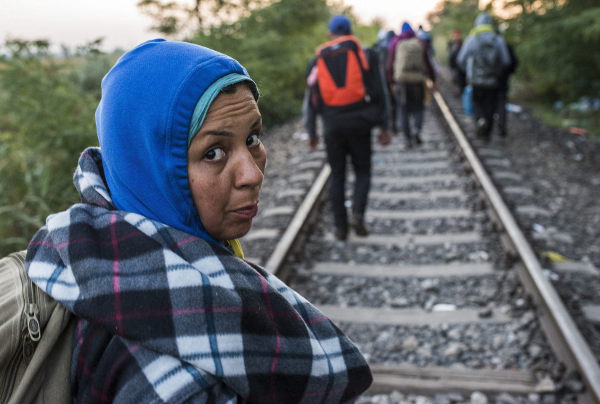 «Refugiado»: definición y destino | FundéuRAEFundéuRAE