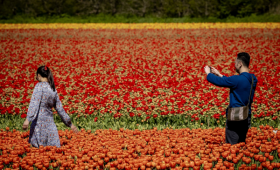 «cuán hermoso» o «cómo de hermoso», no «cuán de hermoso» | FundéuRAE