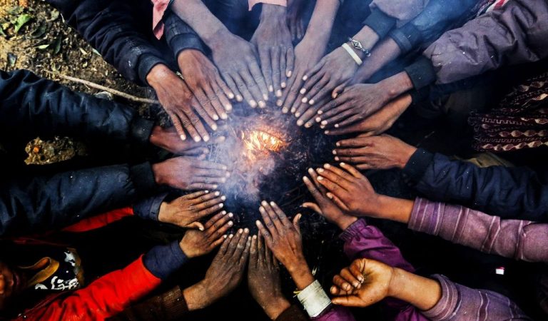 Encuesta: ¿«entumecido» o «entumido»? | FundéuRAEFundéuRAE