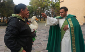 «bendecido»/«maldecido» y «bendito»/«maldito», usos diferentes ...